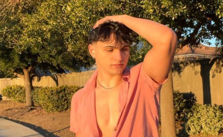 Who are Ariana Lee’s siblings Analeese Bonfiglio and Geno Bonfiglio?