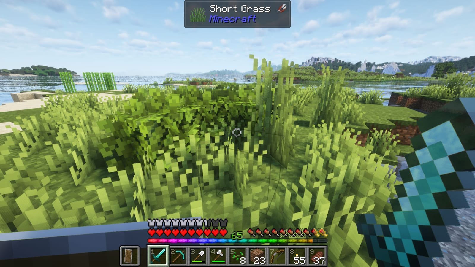 10 best Minecraft challenge ideas