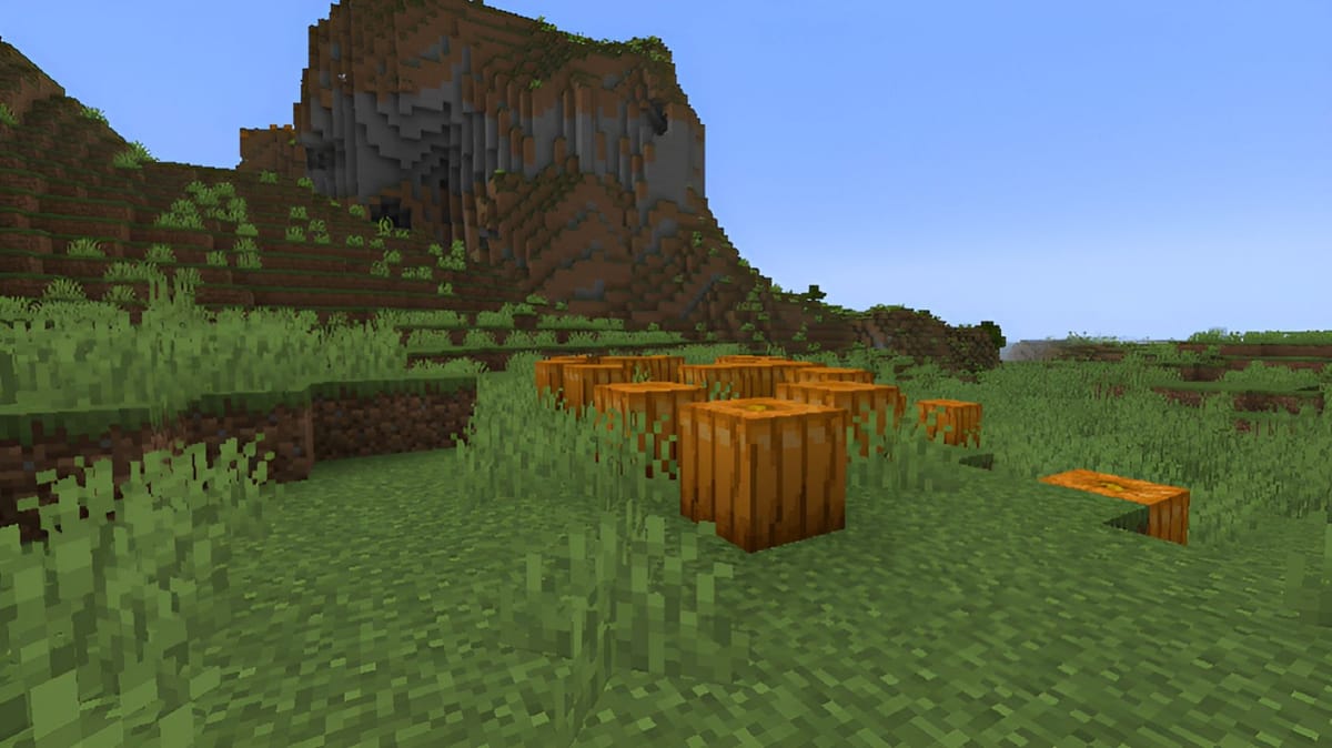 5 best crops to farm in a new Minecraft world