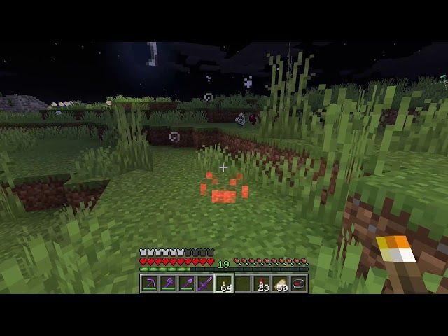 Invisible spider in Minecraft: All you need to know