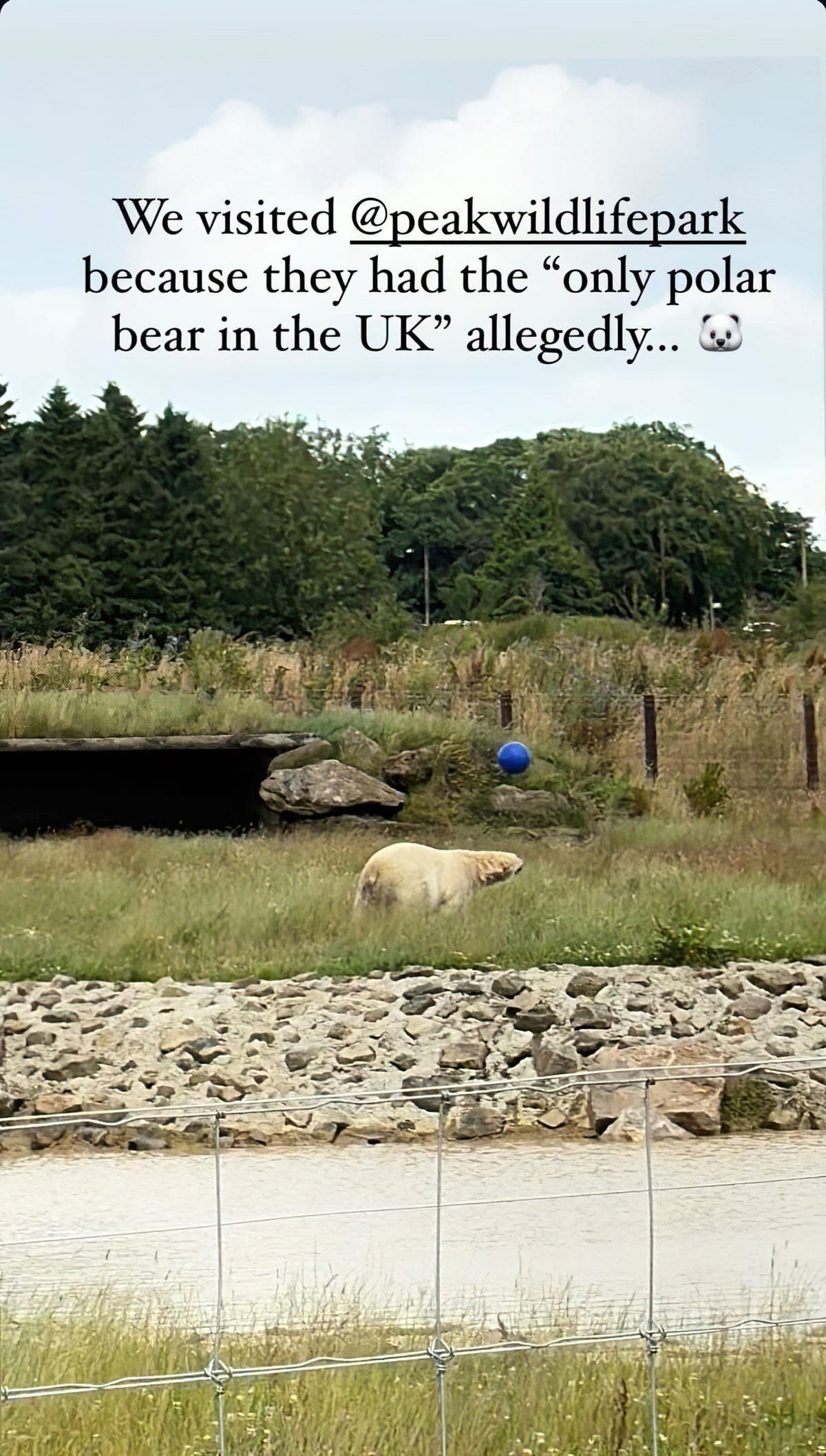 Brooks Koepka’s wife Jena Sims spends $26.98 on zoo visit only to get ...