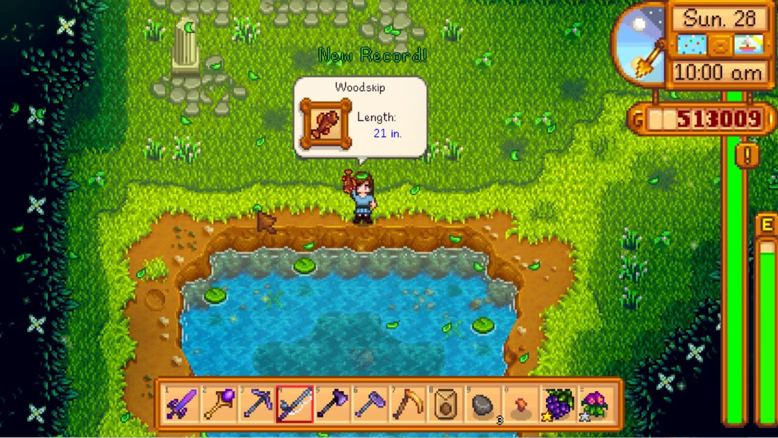 How to get Woodskip in Stardew Valley