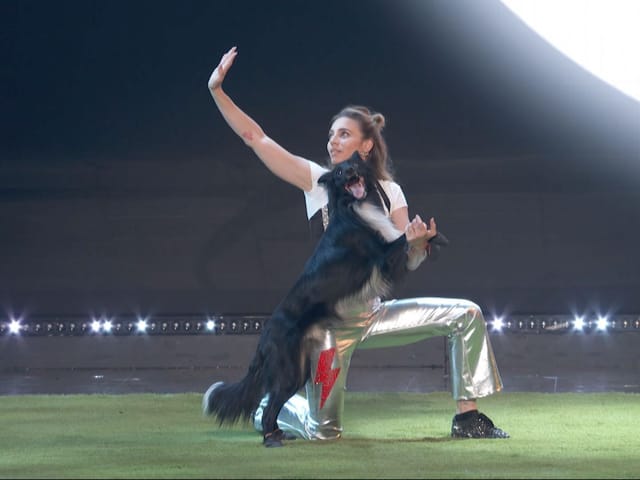 "That was INCREDIBLE"— America's Got Talent fans praise Rhythm the dog ...