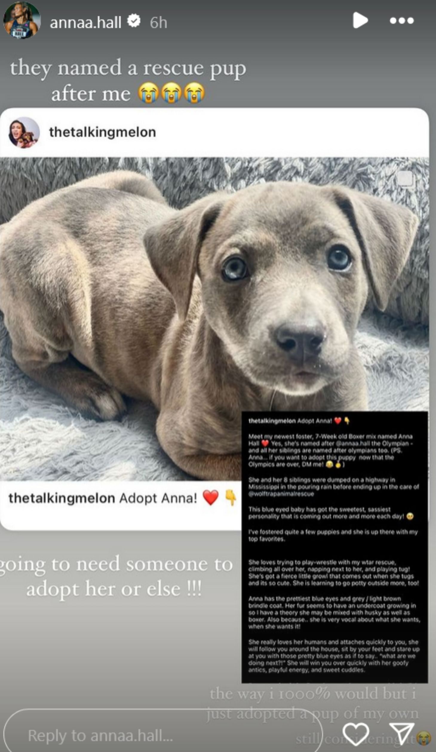 "They named a rescue pup after me" - Anna Hall in awe after receiving ...