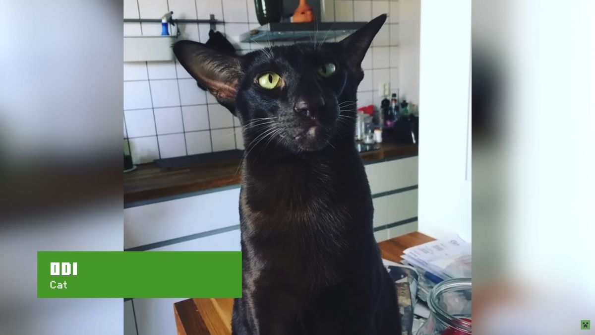 Minecraft reveals how popular mob sounds are made