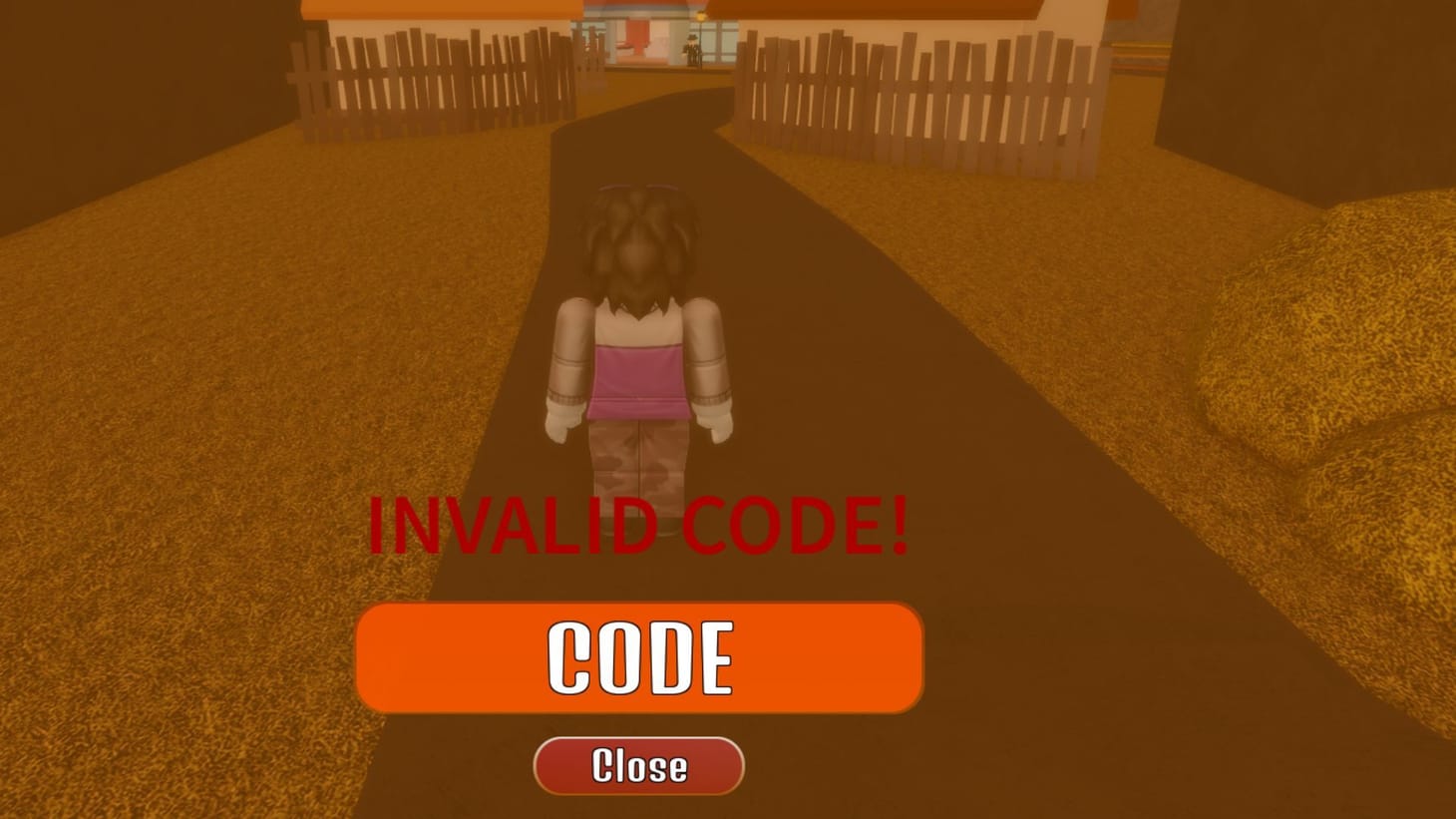 Project Polaro codes