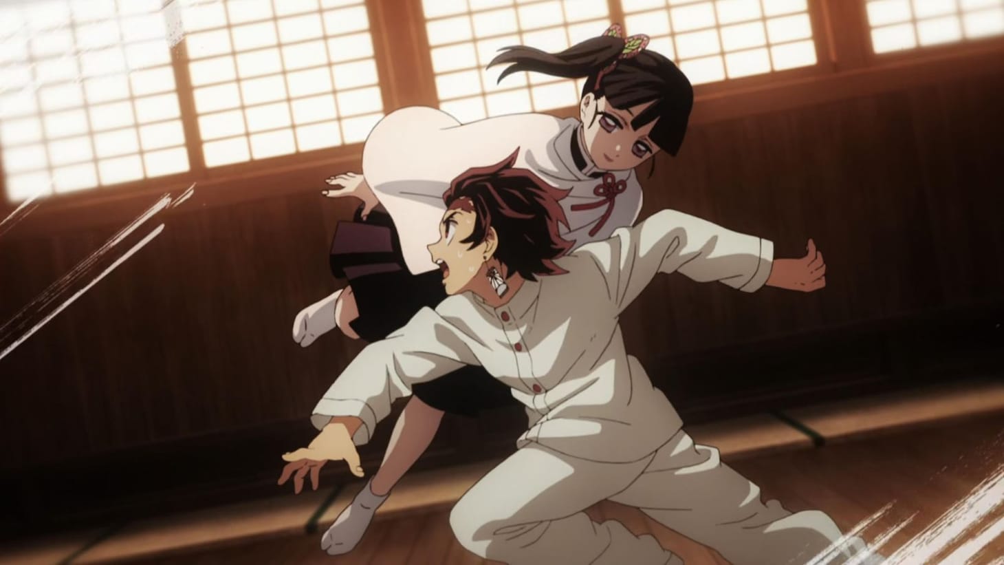 Demon Slayer Arcs in order