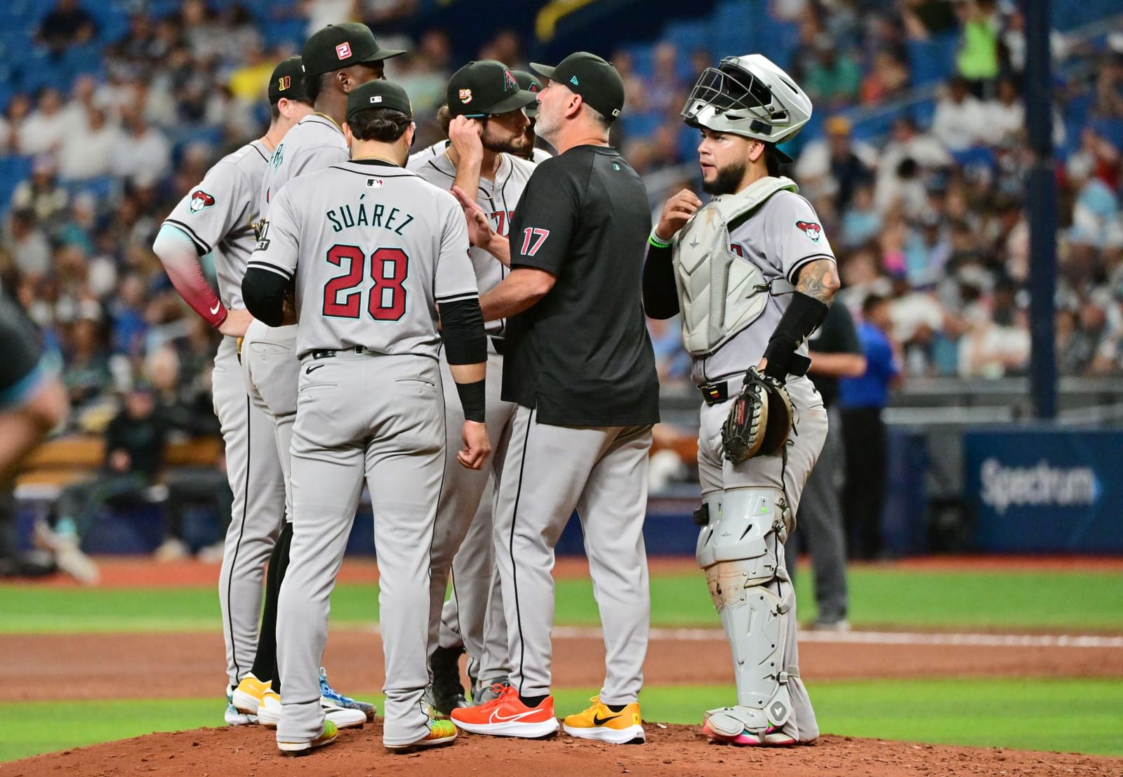 Arizona Diamondbacks Owner