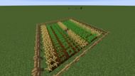 Best layout for crop farms in Minecraft