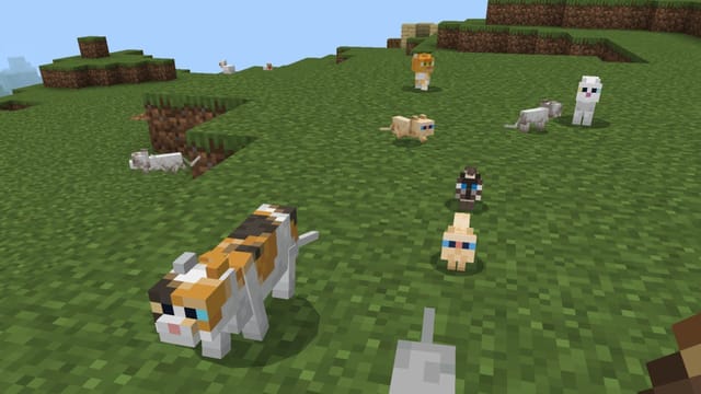 Where do cats spawn in Minecraft?