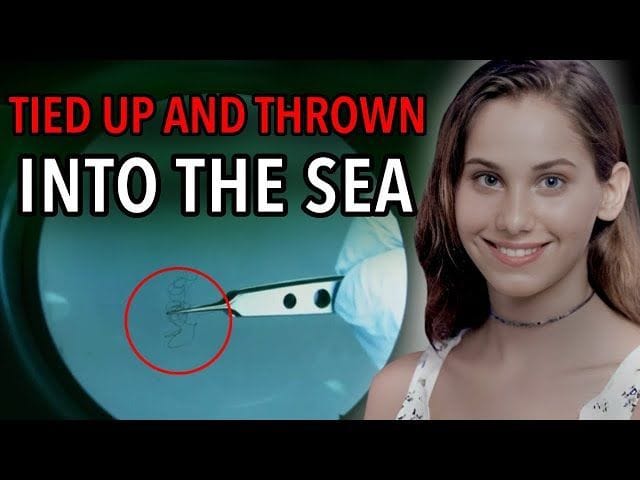Five chilling details about Misty Morse's murder