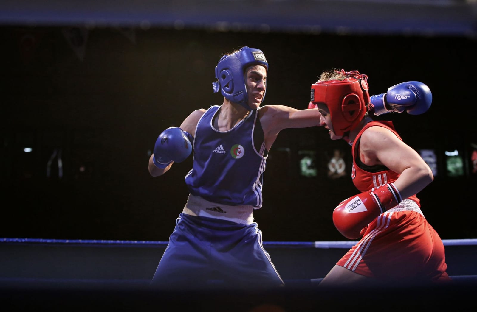 In light of IOC calling Imane Khelif & Lin Yu-ting victims of ...