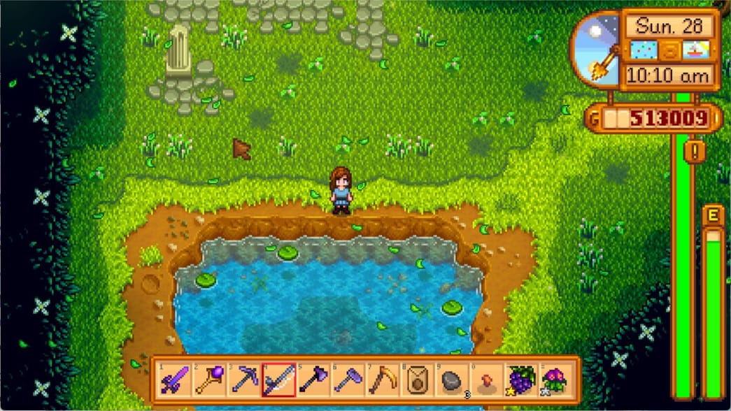How to get Woodskip in Stardew Valley
