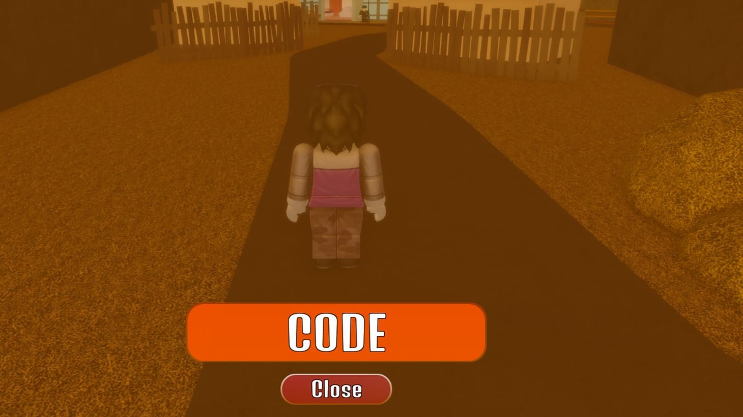 Project Polaro codes