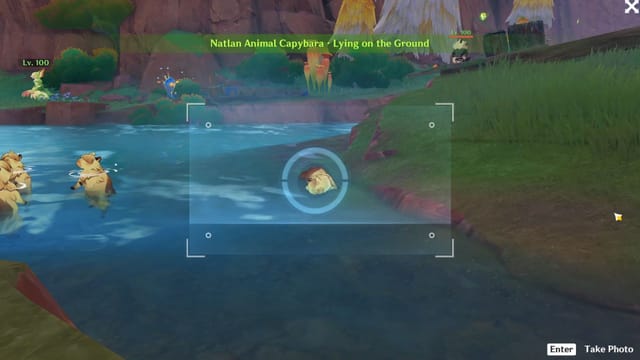 Genshin Impact: Capybaras doing 2 different actions photography locations