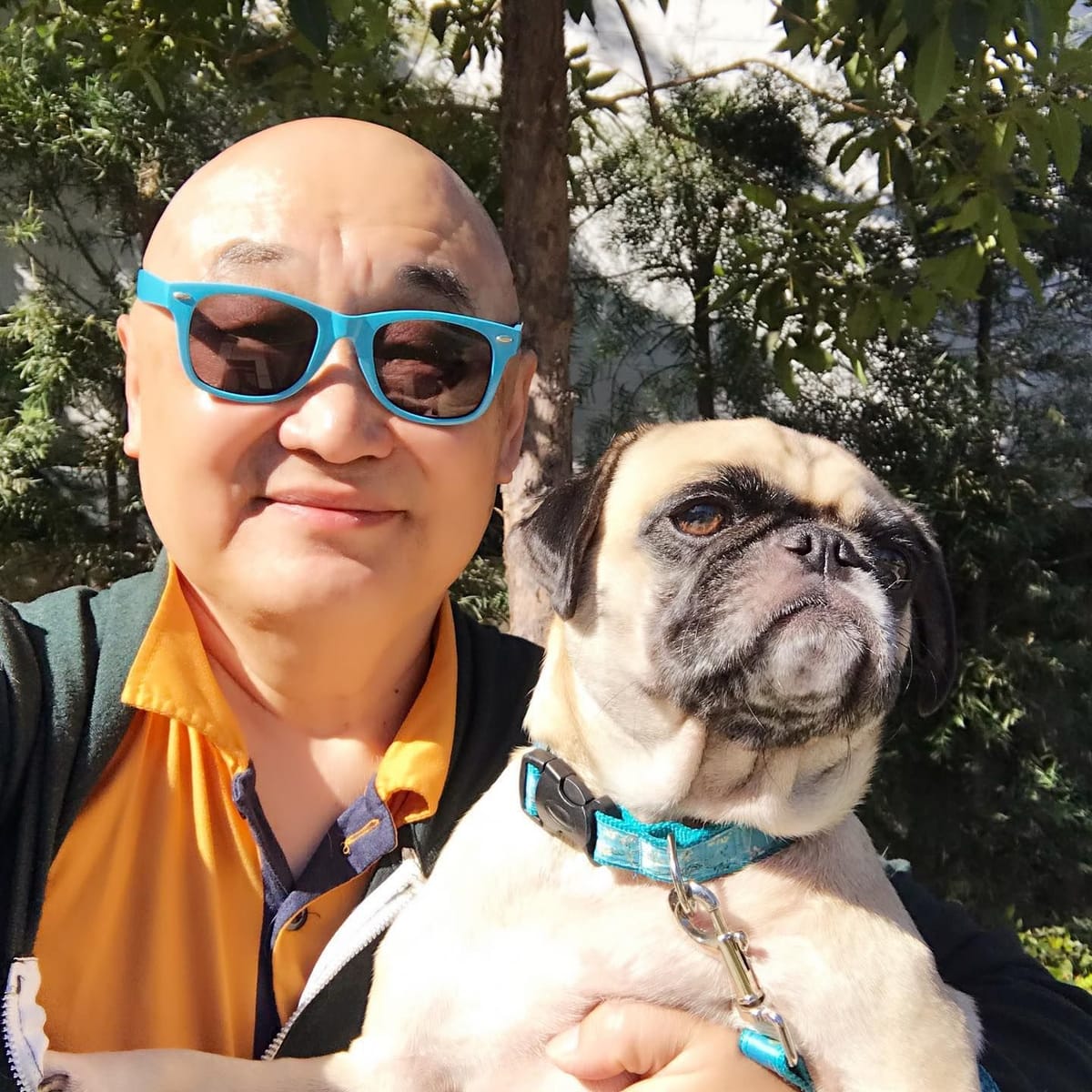 Who is Jimmy O. Yang’s father, Richard Ouyang?