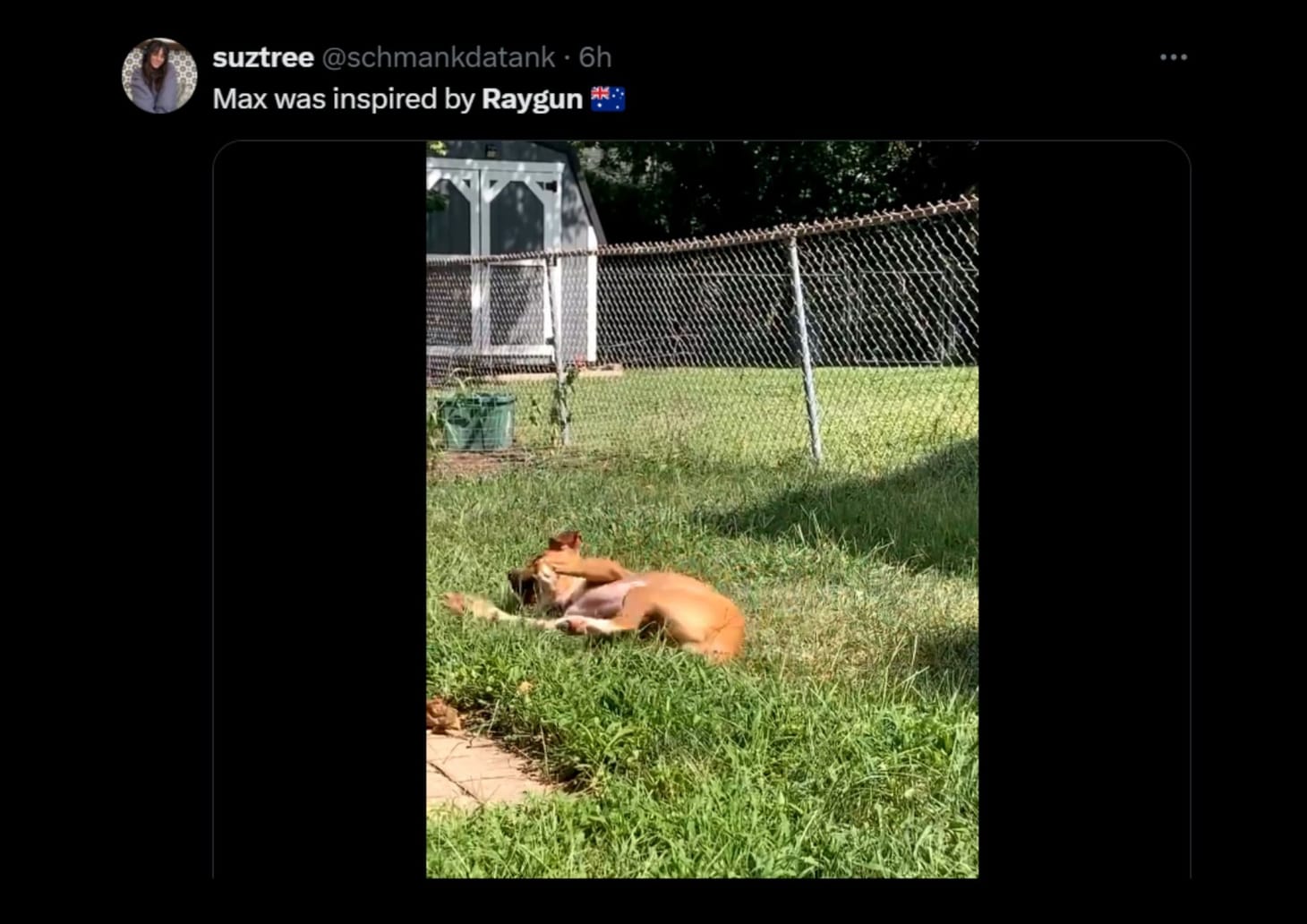 "Really hit them with the Tyrannosaurus" — Internet reacts as Raygun ...