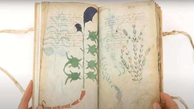 The Voynich Code - The World's Most Mysterious Manuscript on Apple TV ...