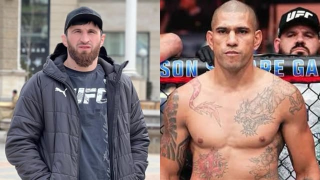 "Biggest chicken in the UFC" - Magomed Ankalaev reacts to Alex Pereira ...