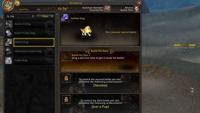 WoW The War Within: How to get the Pandaria farm dog