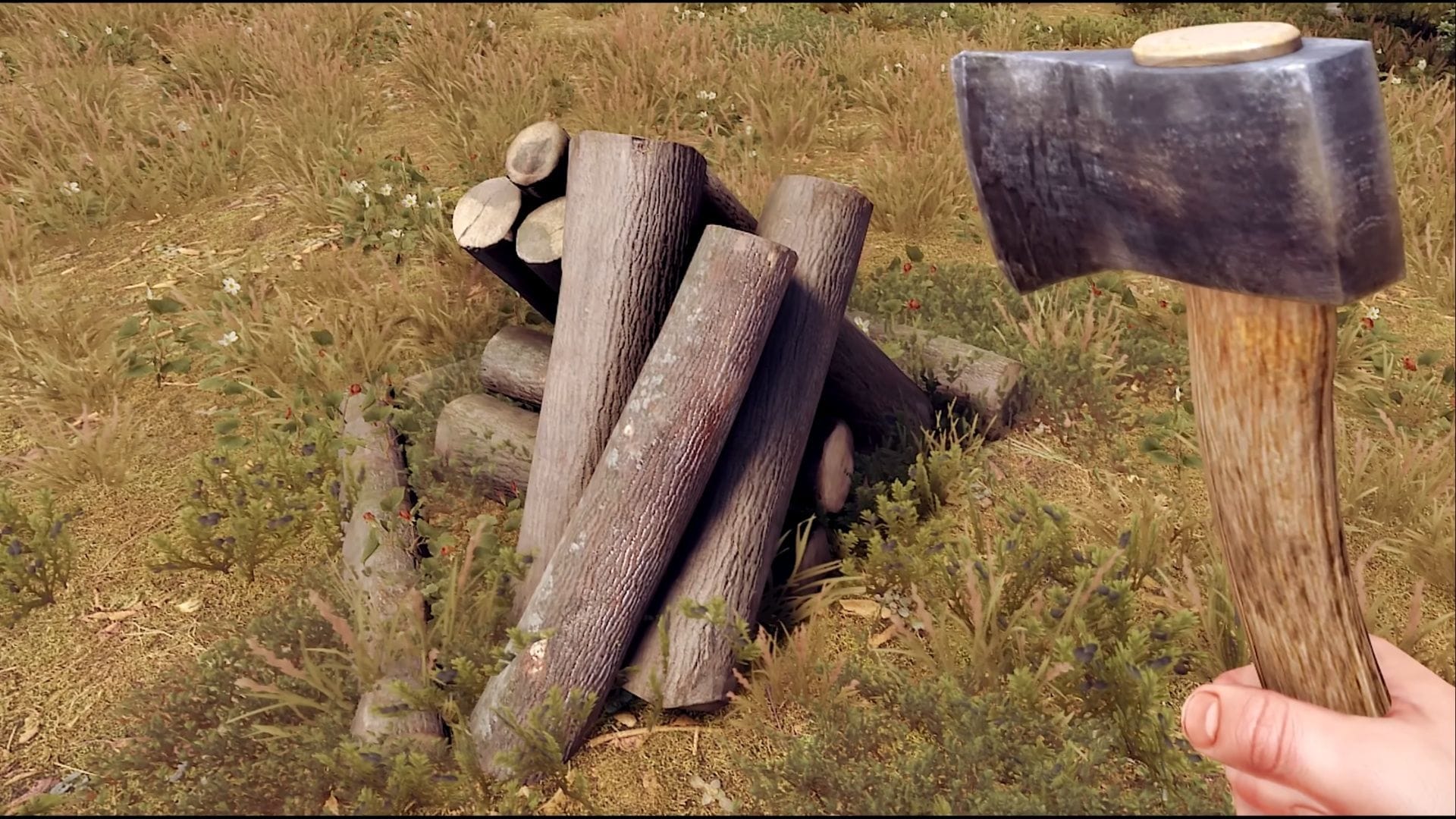 Rust Force Wipe (September 2024): Release date and what to expect