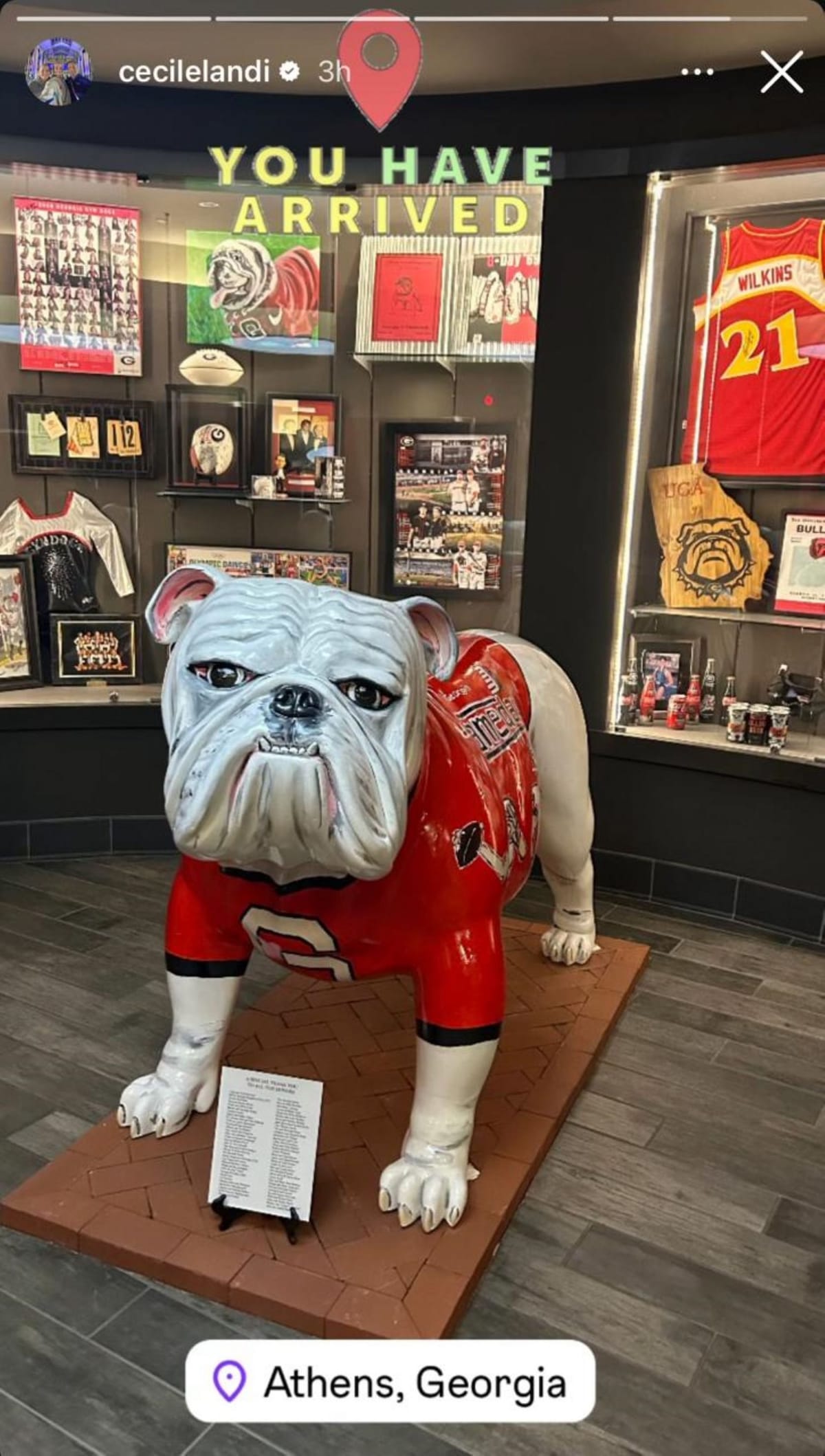 Simone Biles' coach Cecile Landi reaches Georgia to begin her new role ...