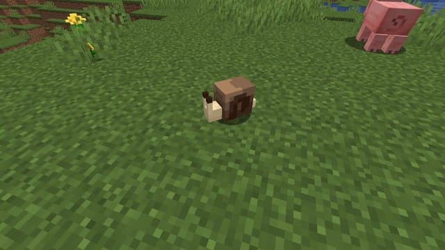 Minecraft Immortal Snail mod: Features and installation guide
