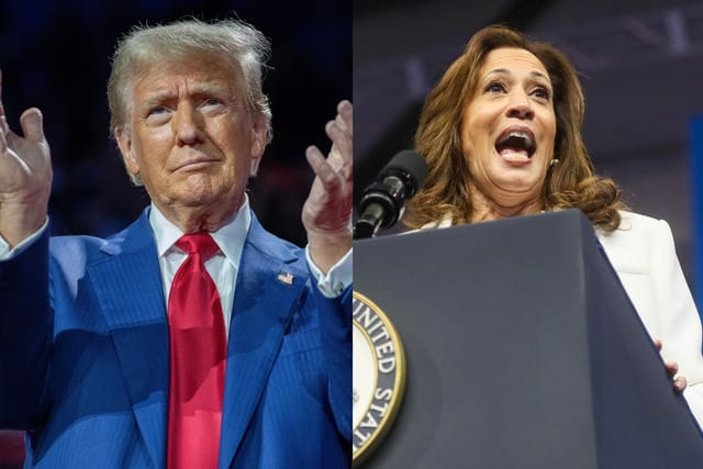 30+ U.S.-themed political fantasy names to explore for your team