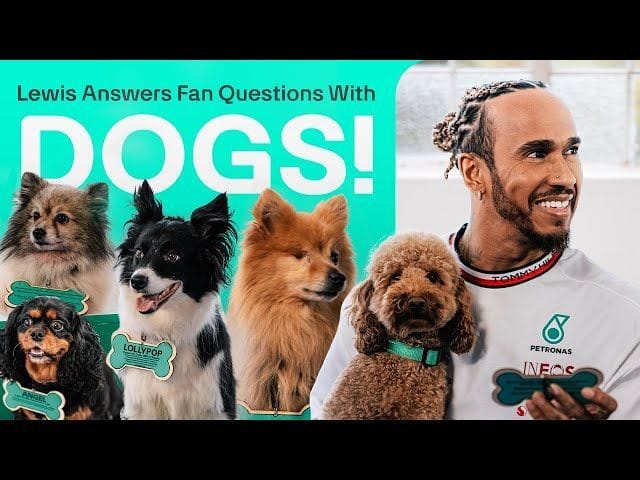"He’s an approved dog daddy" - $10M-worth F1 driver picks Lewis ...