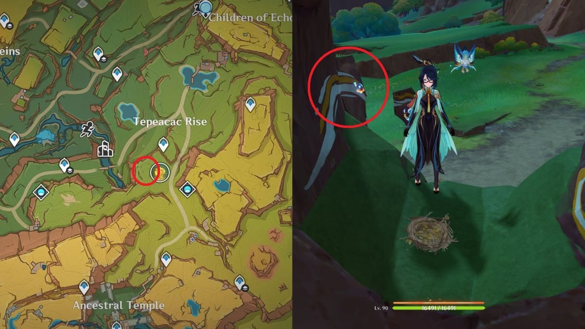 Genshin Impact Natlan Monetoo locations