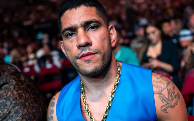 Can Alex Pereira speak English? Exploring the Brazilian's relationship ...