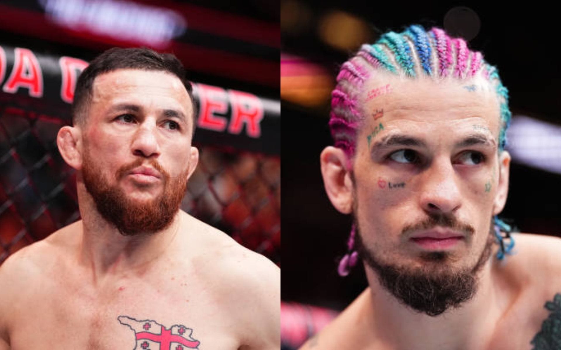 Aljamain Sterling: "Already making excuses for him losing to O'Malley ...