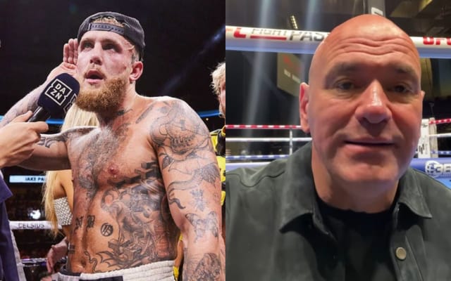 Jake Paul gets a reality check from former UFC champion following ...