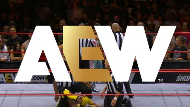 Multi-time women's champion finally breaks silence after shocking heel ...