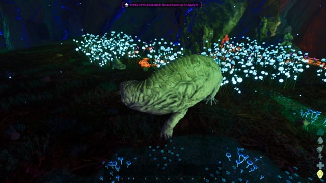 How to tame Roll Rat in ARK Survival Ascended