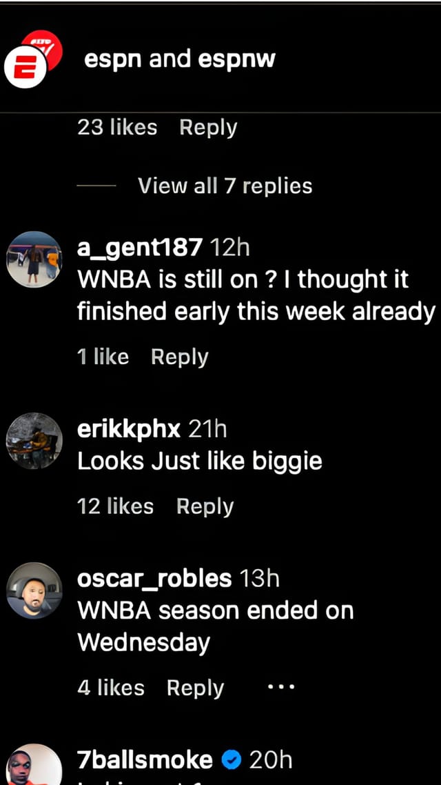 Viral MOODENG meme on WNBA Semifinals sparks hilarious reactions from ...