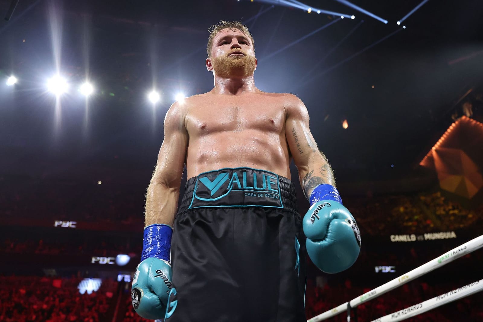 Why is Canelo Alvarez called Canelo?