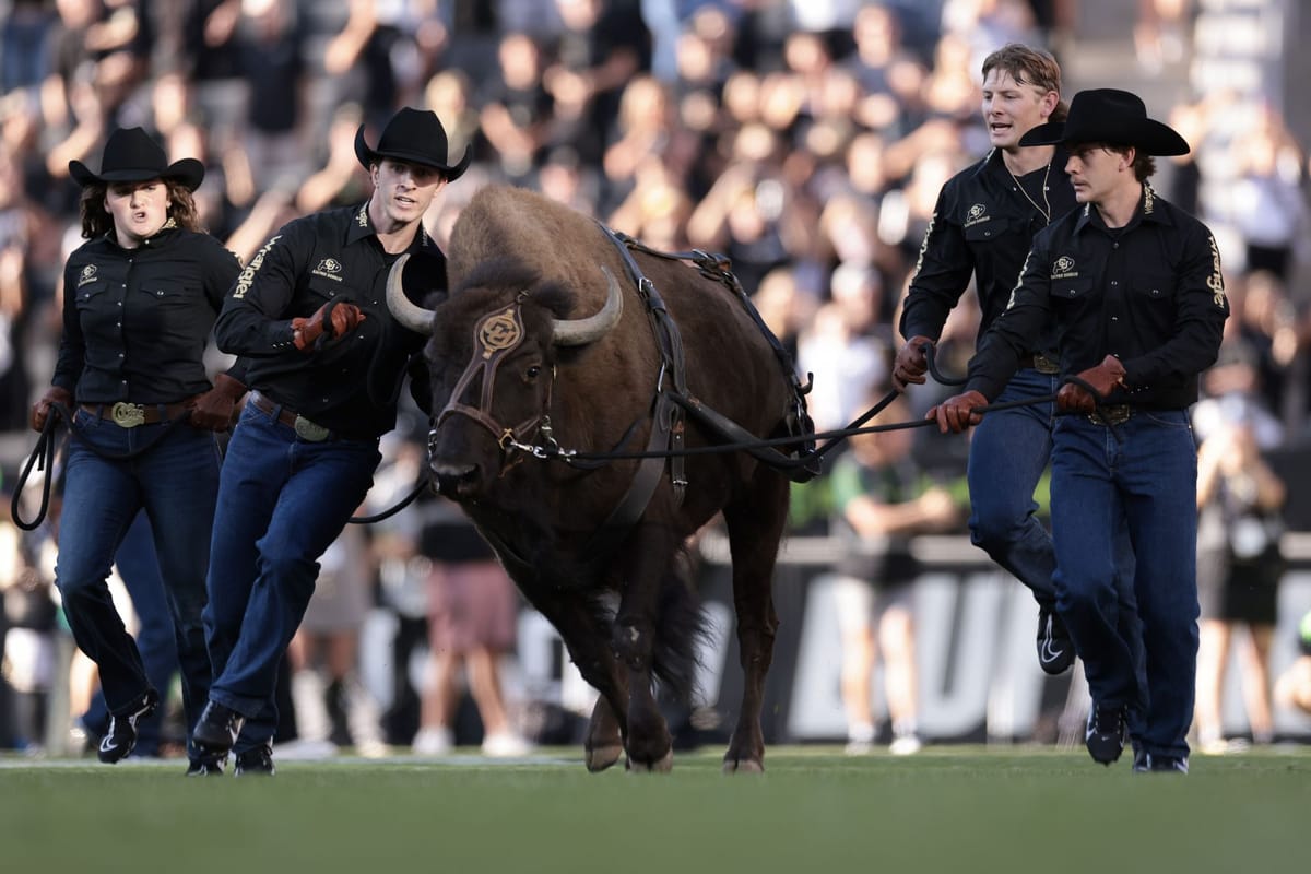 What is The Colorado Buffaloes Mascot?