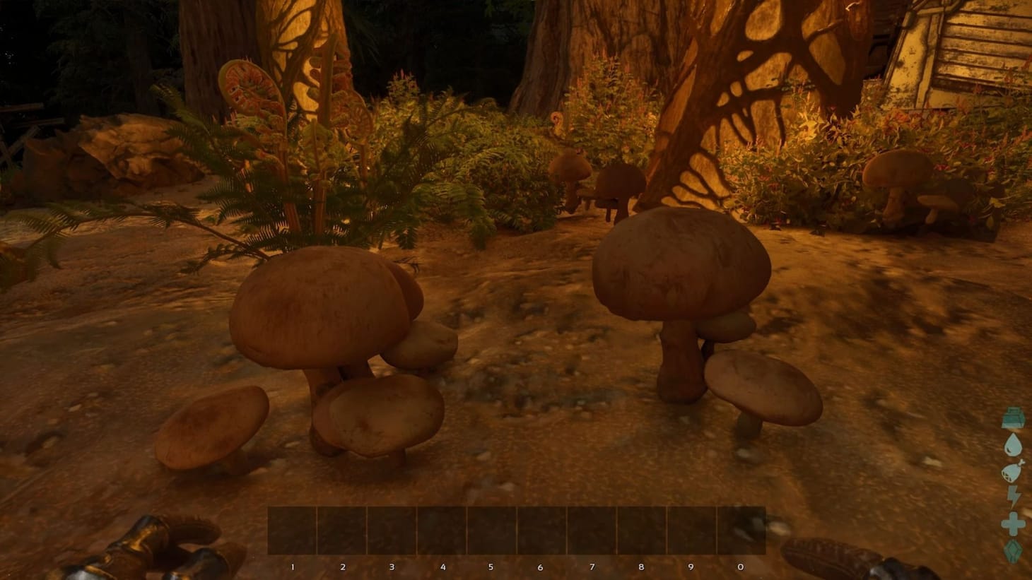 All Mushrooms in Ark Aberration Ascended, and what they do