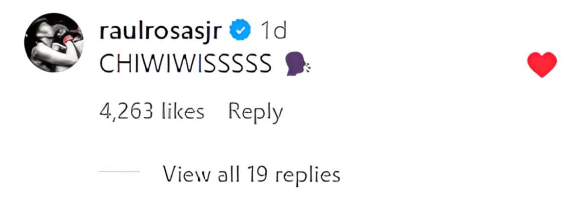 Raul Rosas Jr.: Raul Rosas Jr. acknowledges Alex Pereira saying his ...