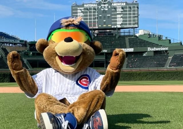 Chicago Cubs Mascot - Clark the Cub's History, Funny Incidents, and More
