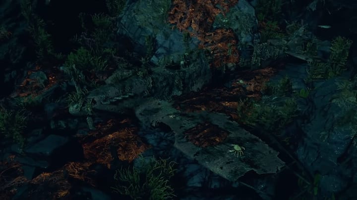 All reported Rust World Update changes (October 2024)