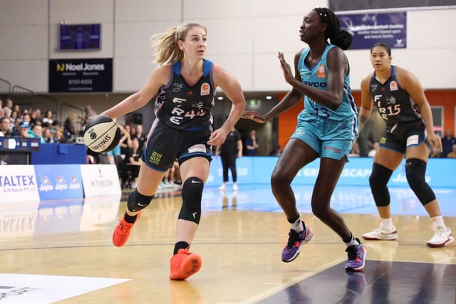 Karlie Samuelson Wingpspan - Discover about Karlie Samuelson Height ...