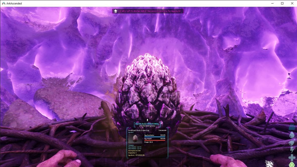 How to get a Rock Drake in ARK Survival Ascended