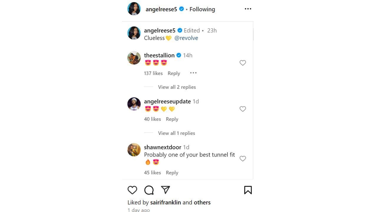 Megan Thee Stallion drops emoji-filled comment on Angel Reese's all ...
