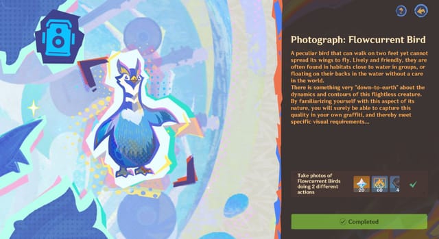 Genshin Impact: Flowcurrent Birds doing 2 different actions photography ...