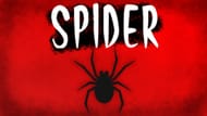 How to play Roblox Spider