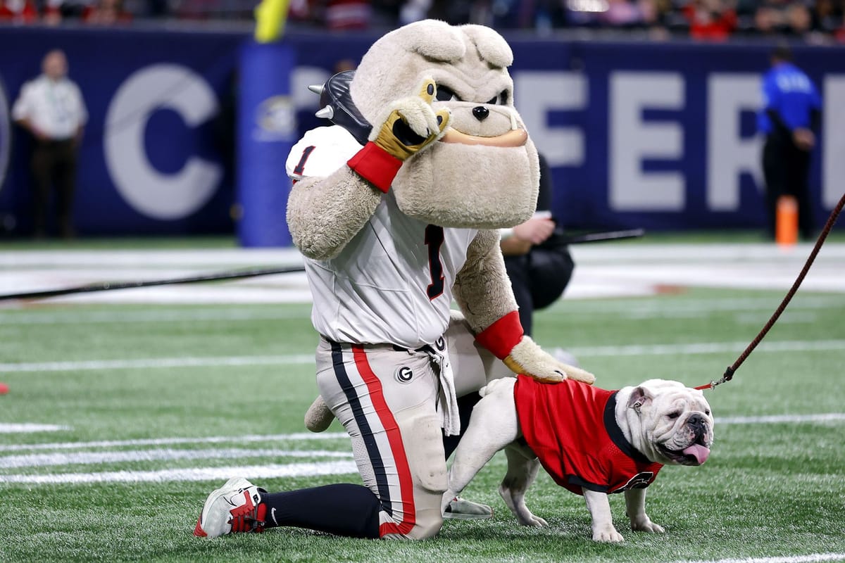What Happened to the Georgia Bulldogs Mascot?