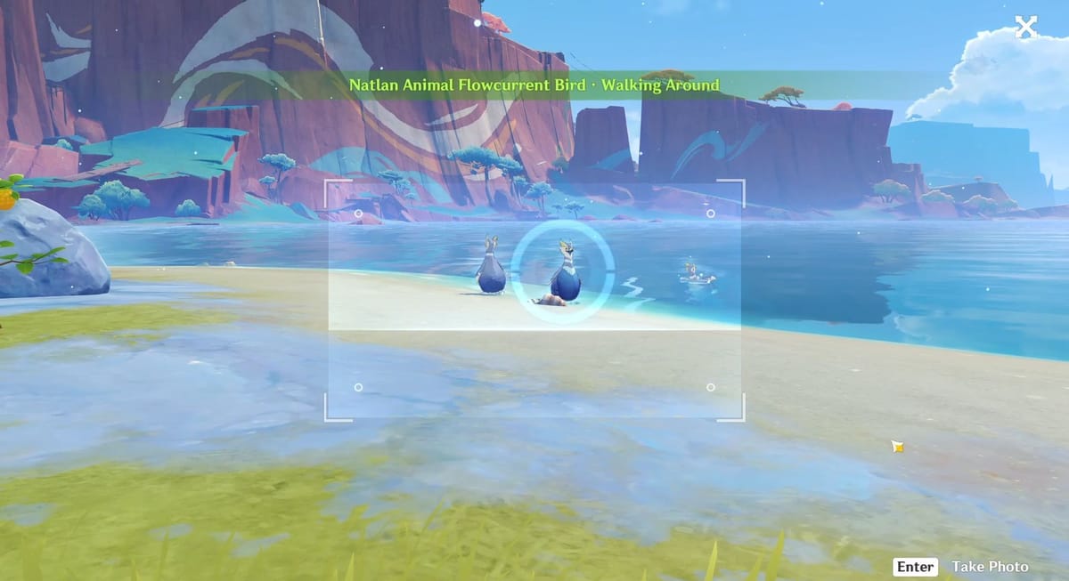 Genshin Impact: Flowcurrent Birds doing 2 different actions photography ...