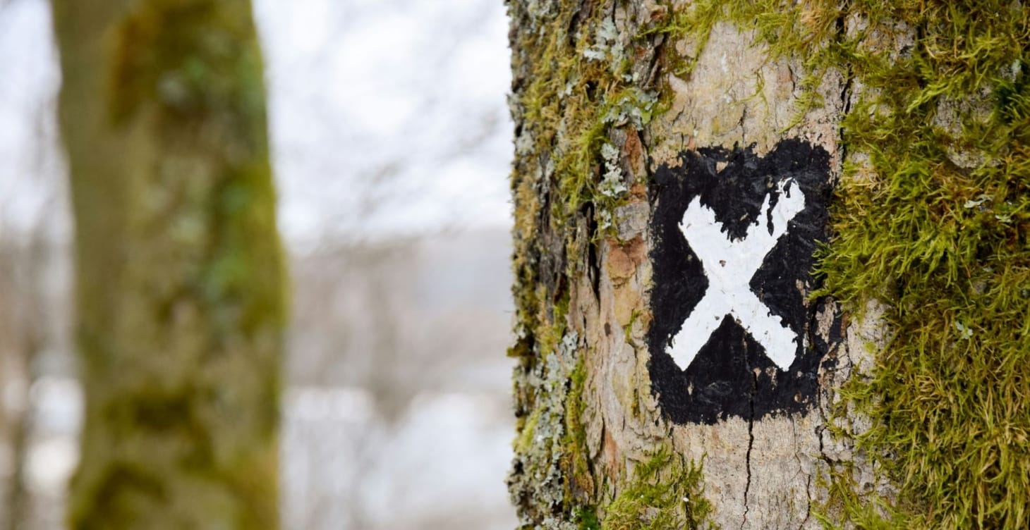 5 chilling details about Kevin Mengel's murder